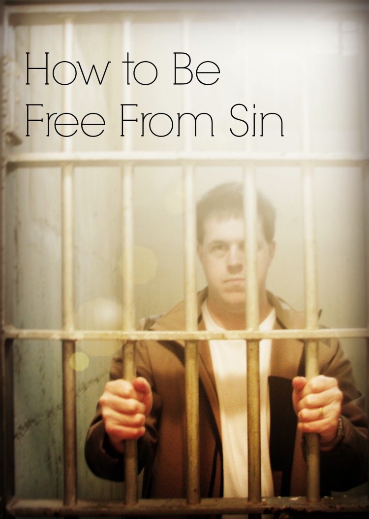 How to Be Free From Sin: The Higher Law Than “Try Harder”